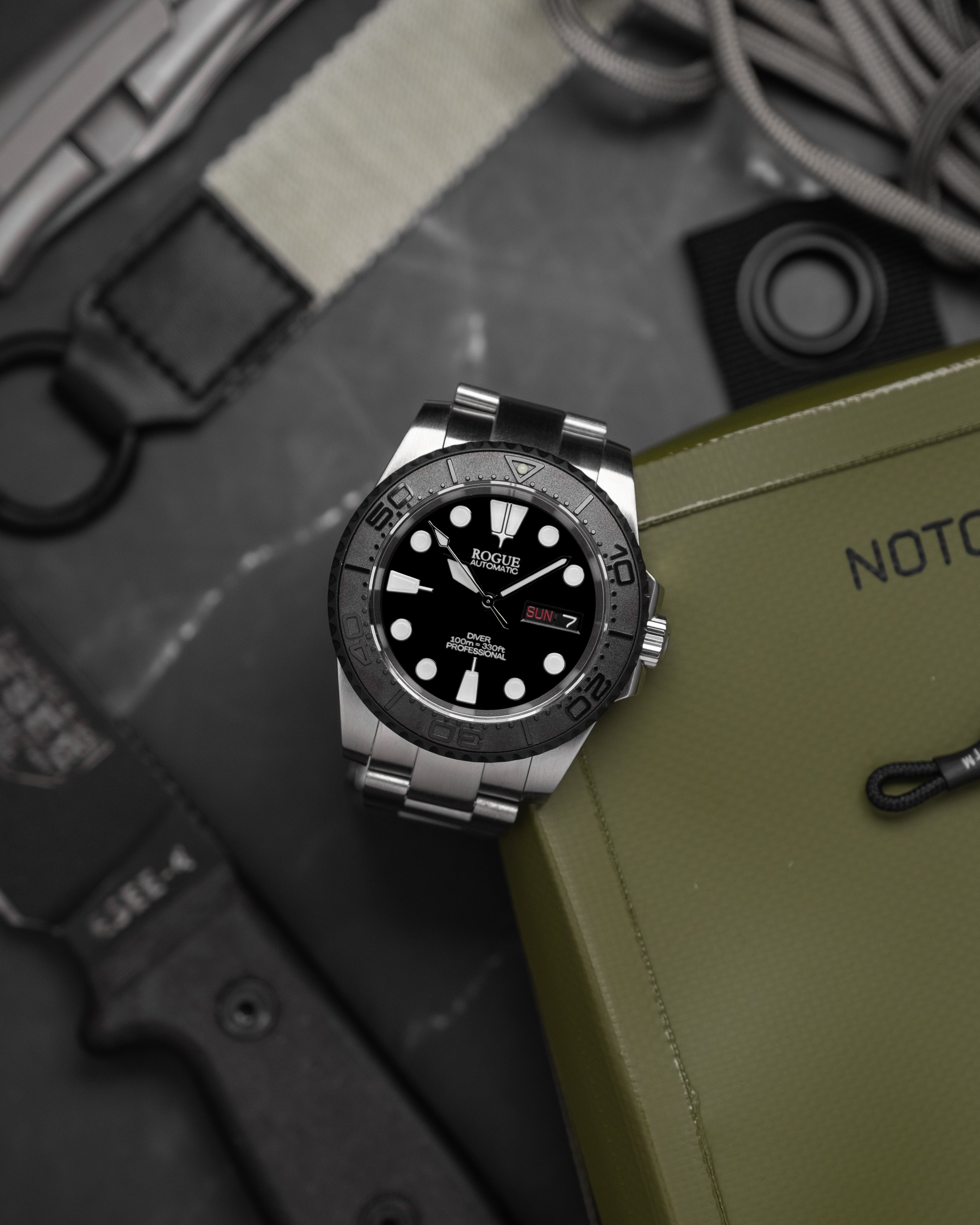 RAVEN DAY DATE DIVE PROFESSIONAL – Rogue Watches